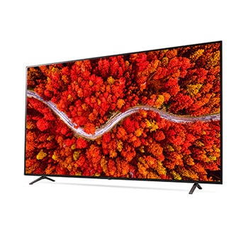 Ultra Big TVs: Large Screen TVs & Huge TV Screens | LG UAE