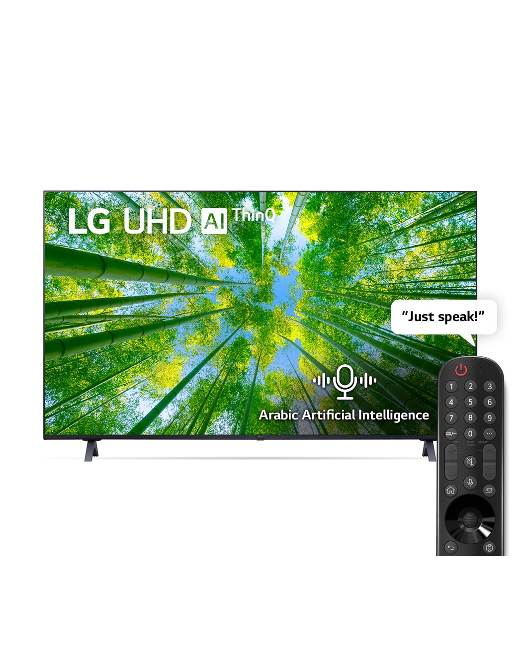 LG UHD 65 Inch UQ80 Series 4K Active HDR | LG UAE