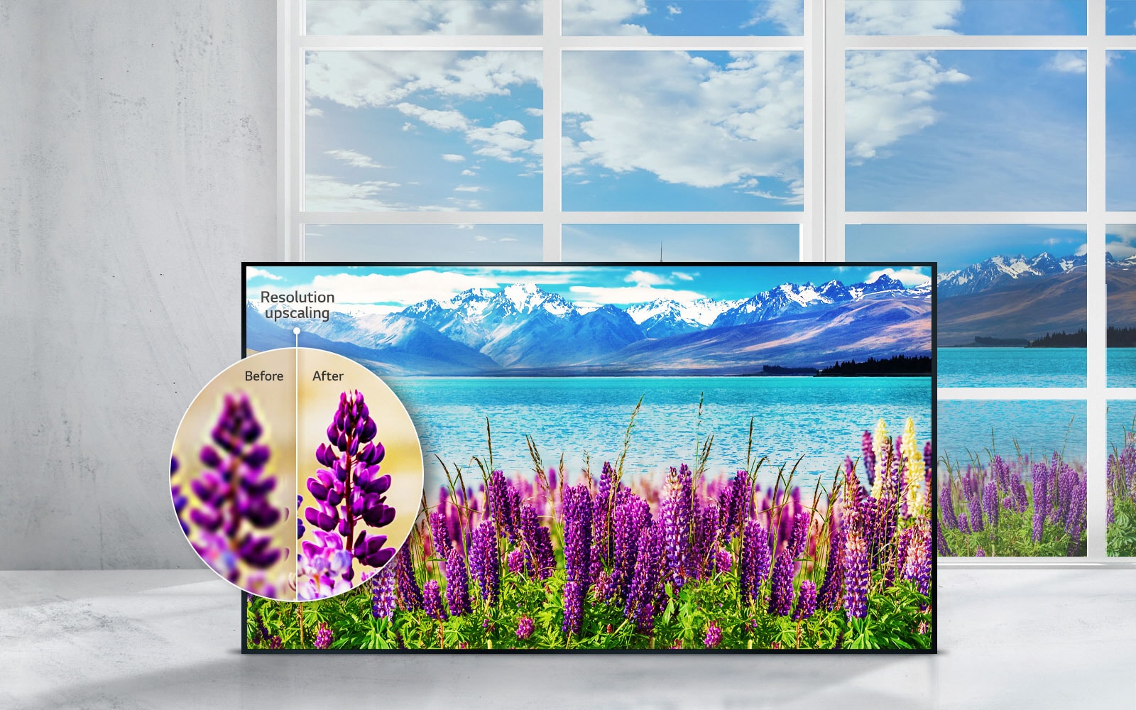 LG 49UJ630V | LG Africa