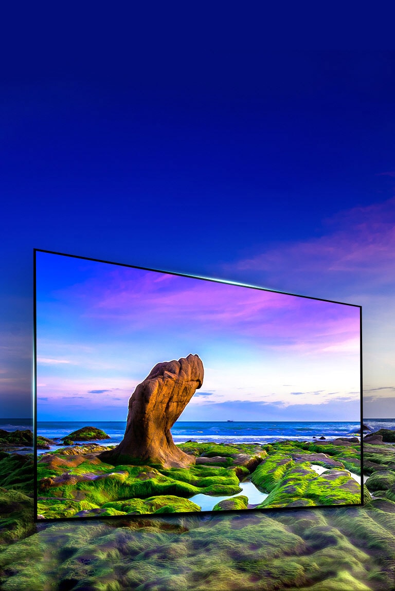 LG 65'' LG ULTRA HD 4K TV | LG Africa