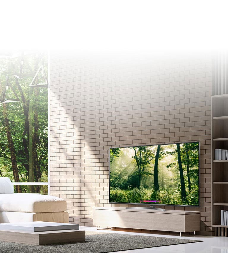 LG Nano Cell™ Smart TV 65''| Imágenes HDR | LG Argentina