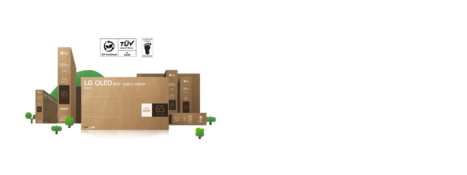 LG G2 65 inch evo Gallery Edition | LG Bangladesh