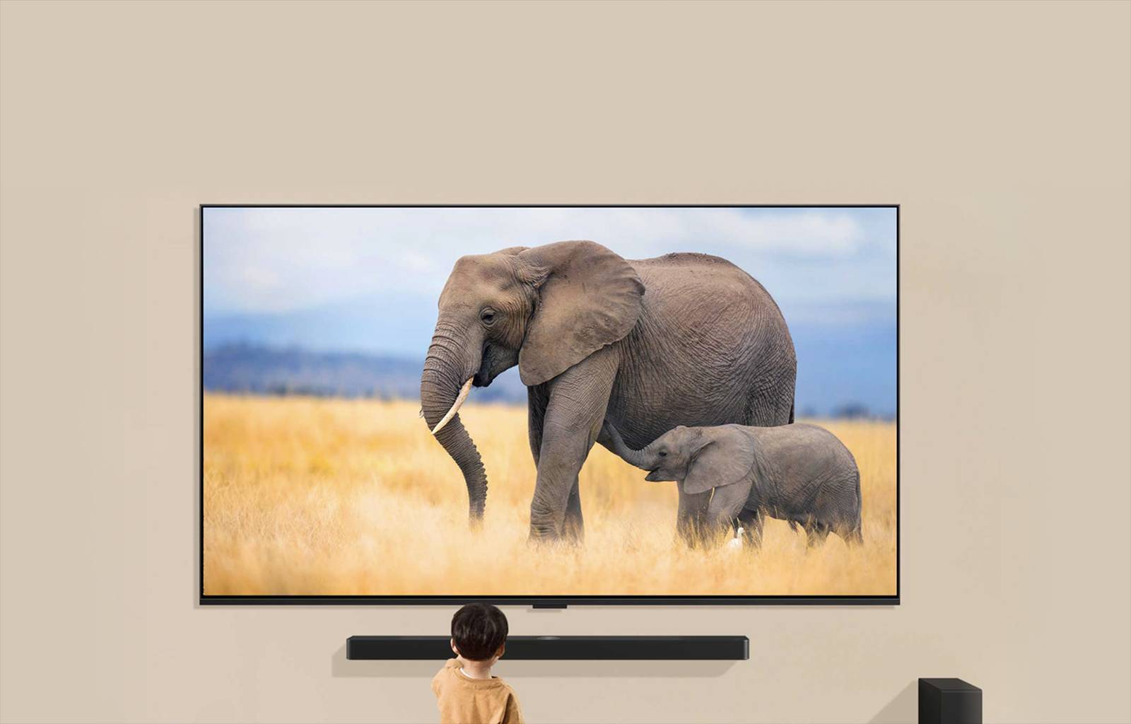 LG TV Recommendations | LG Bangladesh