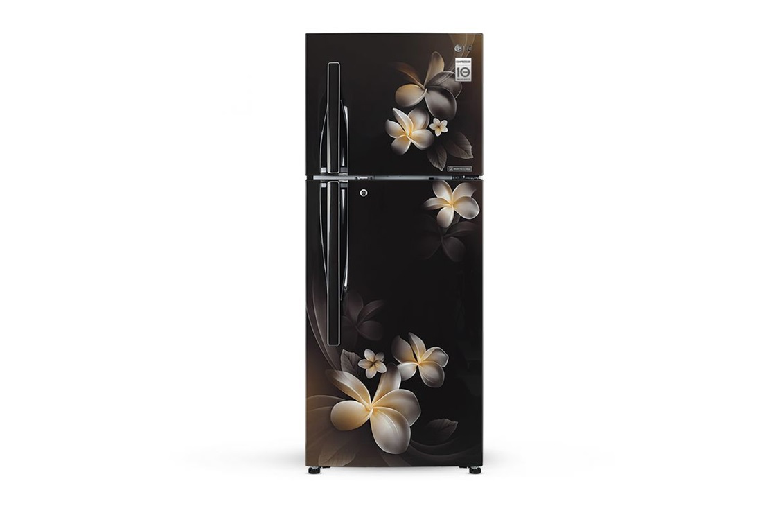 LG GL-G252RPBB 260 ltr 2 Star Double Door refrigerator Price and Features