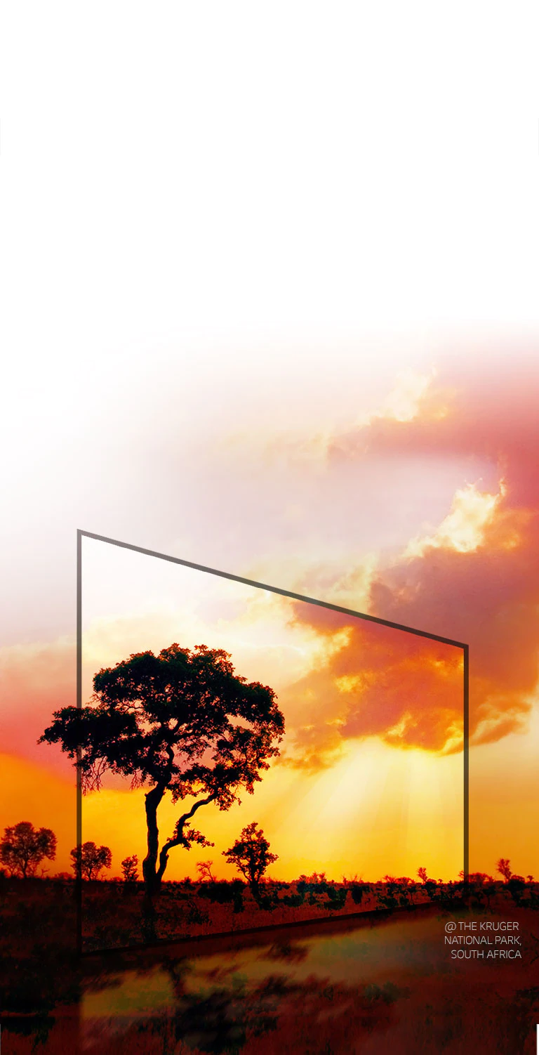 TV & Home Entertainment, Audio & Video | LG Bangladesh