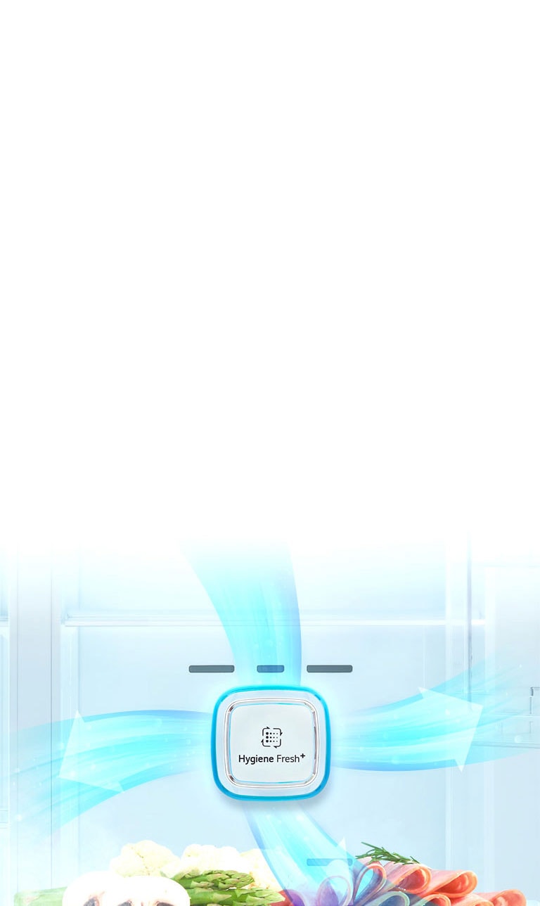 Refrigeradora French Door LG | LG Centroamerica