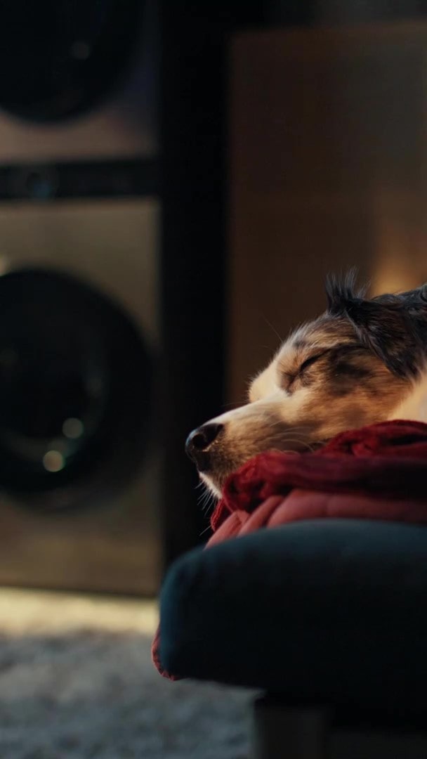 LG乐享生活家-Optimism your feed！丨LG乐金电子中国官网