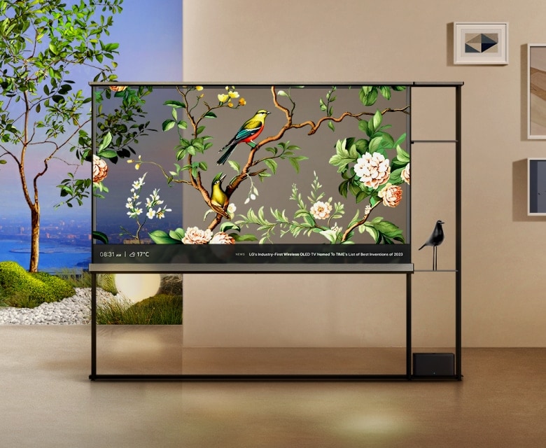 美好生活时刻：OLED T｜LG乐金电子中国