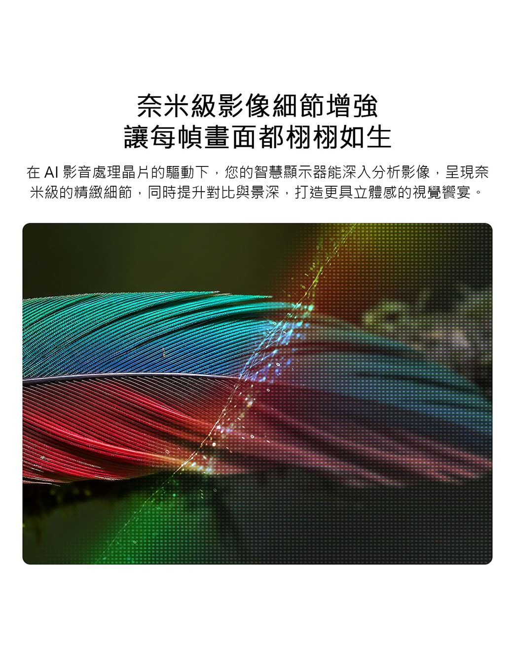 55吋｜LG NANO 4K UHD AI 智慧顯示器｜85系列｜2026 | LG 台灣