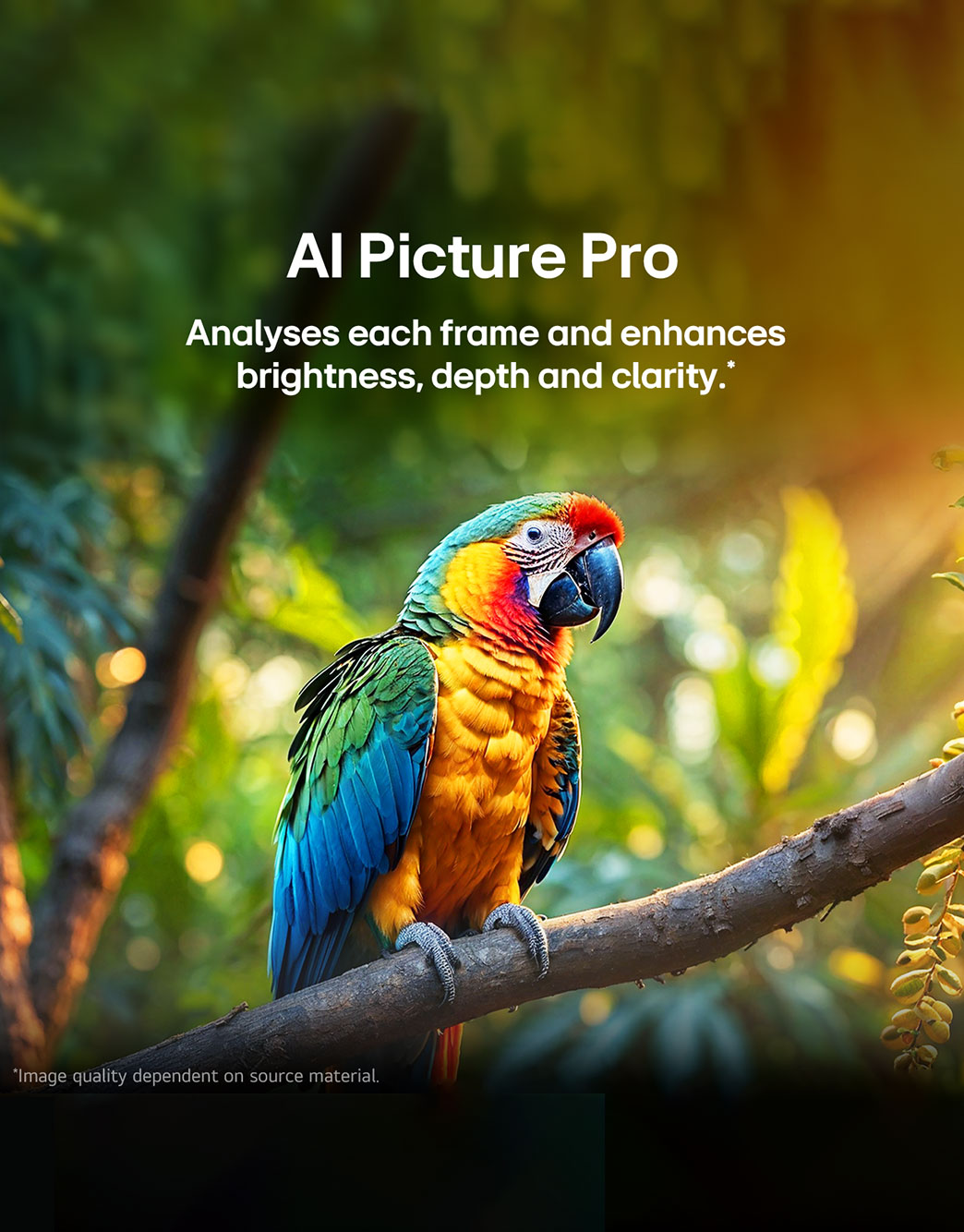 55 inch LG QNED evo AI QNED86 MiniLED 4K Smart TV 2025 - 55QNED86ASA | LG AU | LG AU