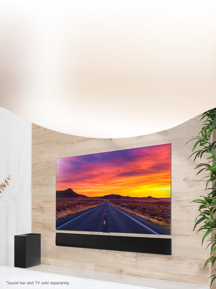 Consumer Electronics, Home & Kitchen Appliances | LG AU