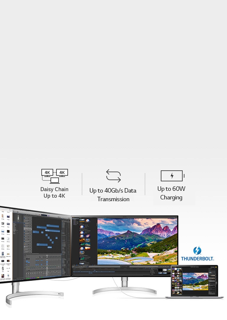 32" Class UHD 4K Monitor - 32UL950-W | LG AU