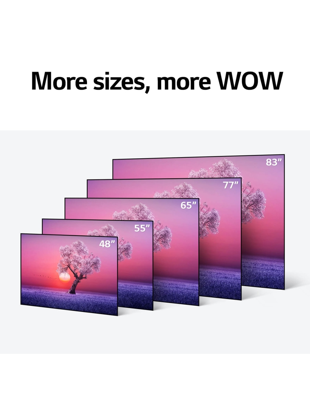 LG C1 55 inch 4K TV with Self Lit OLED - OLED55C1PTB | LG AU