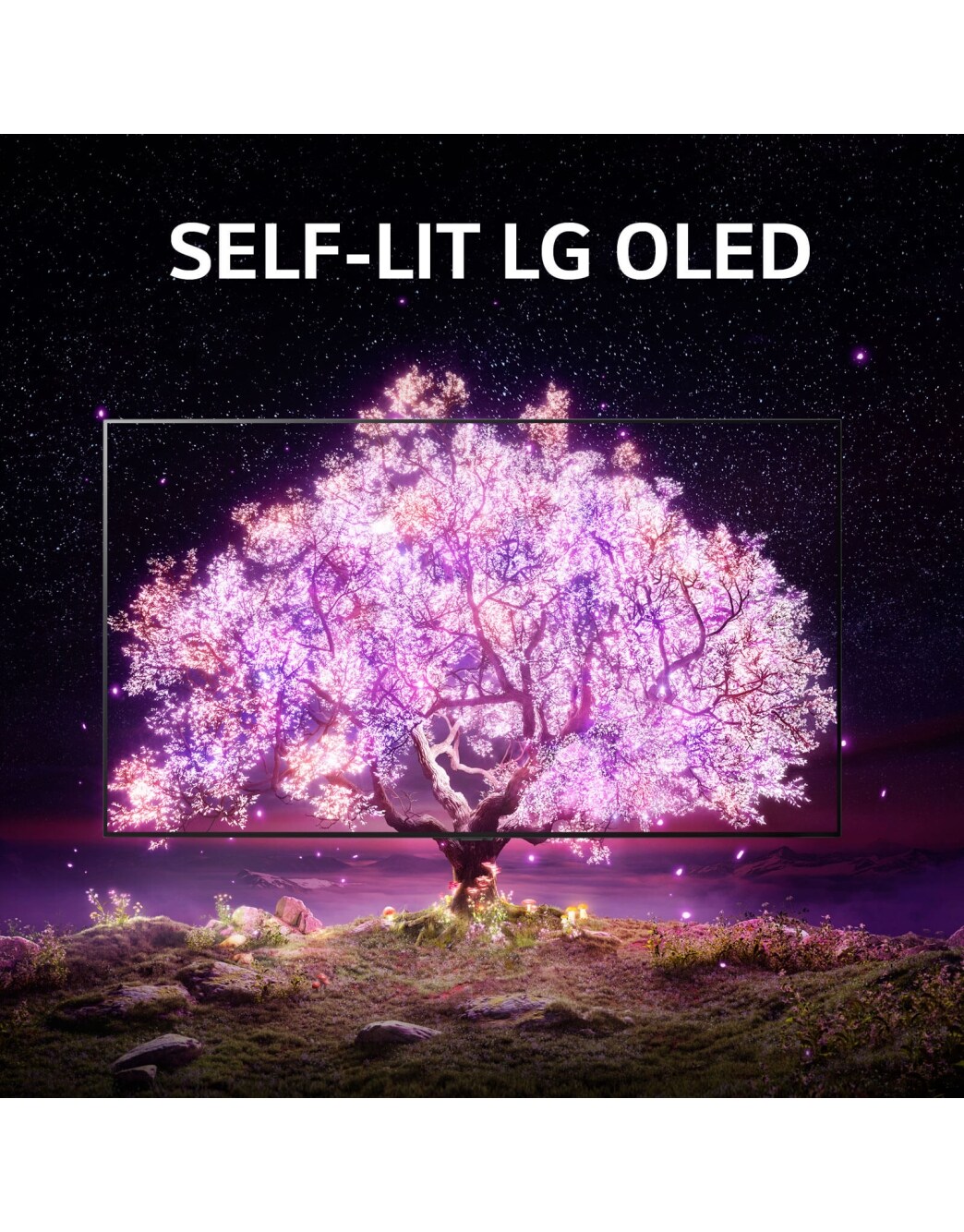 LG C1 55 inch 4K TV with Self Lit OLED - OLED55C1PTB | LG AU