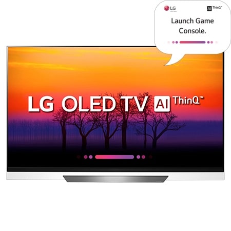 LG OLED TV E8 65 inch - OLED65E8PTA | LG AU