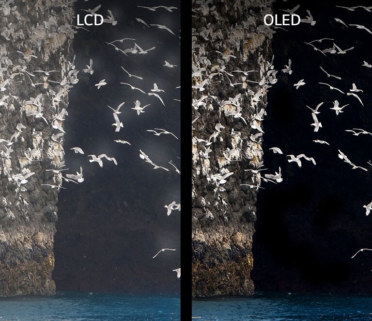 Smart TV LG Oled Evo 48" 4K OLED48C2PSA | LG BR