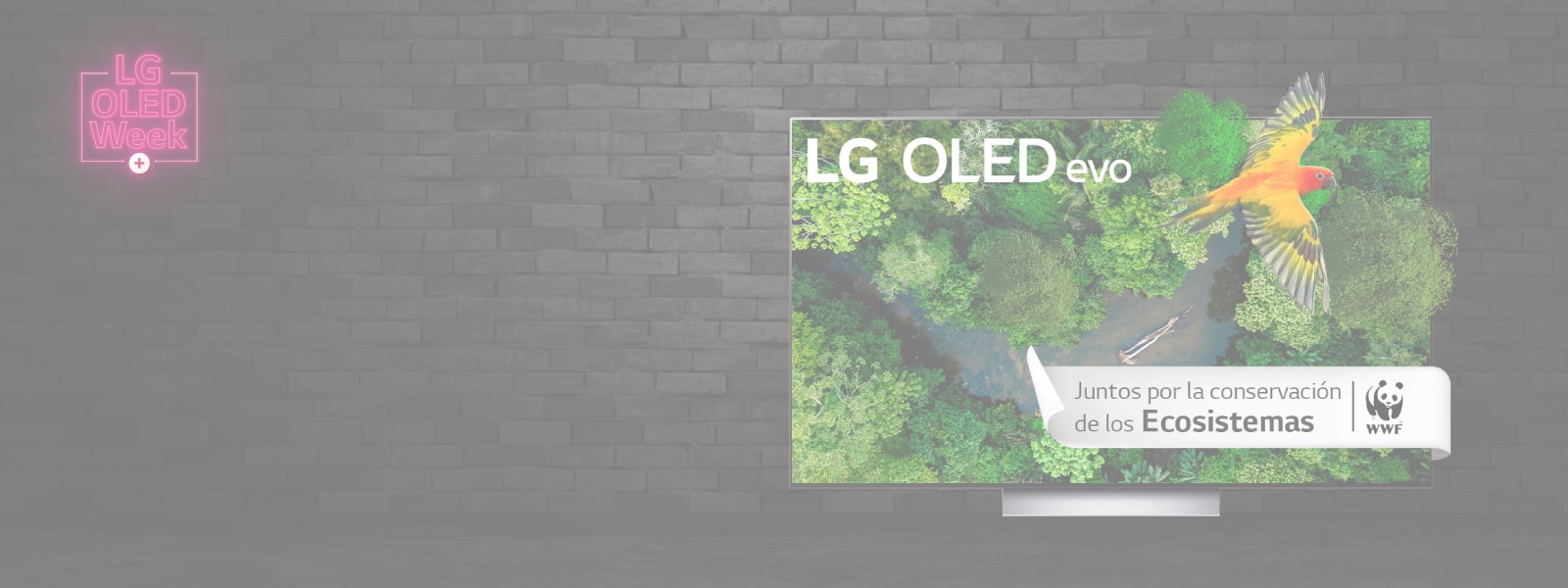Regresa LG OLED WEEK