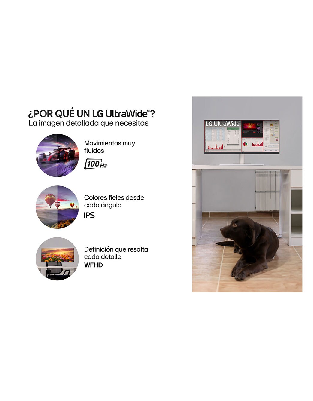 29-inch UltraWide 21:9 WFHD (2560x1080) IPS Display | 29U531A-W | LG ...