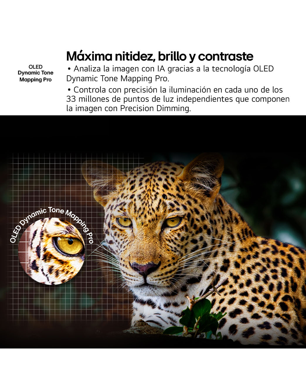 Smart TV LG OLED evo AI G5 48 pulgadas 4K 2025 - OLED48G56LS | LG ES