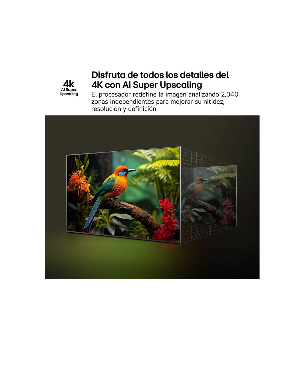 Smart TV LG QNED AI QNED80 50 pulgadas 4K 2025 - 50QNED80A6A | LG España