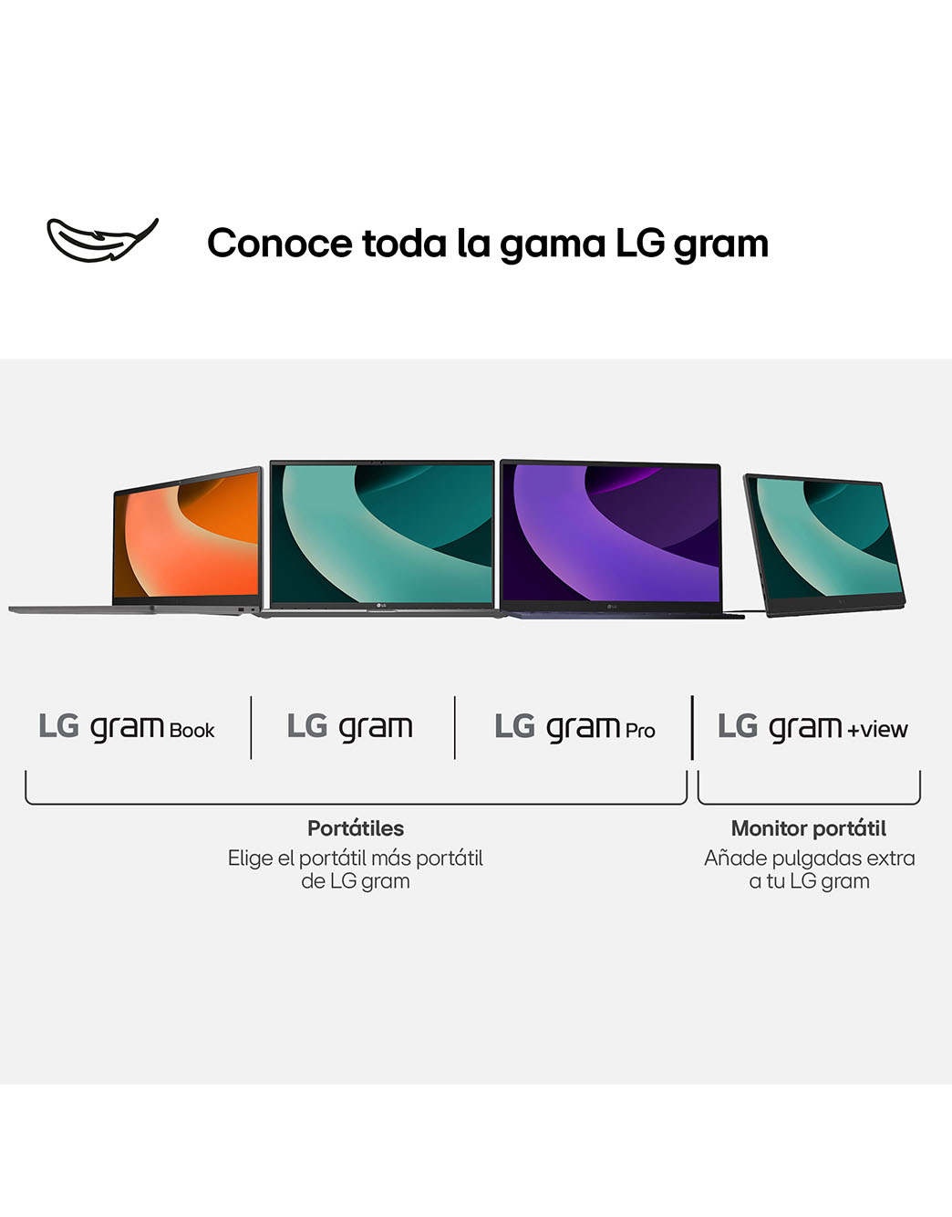 LG gram +view 17” | Lightweight portable monitor | WQXGA 16:10 Anti ...