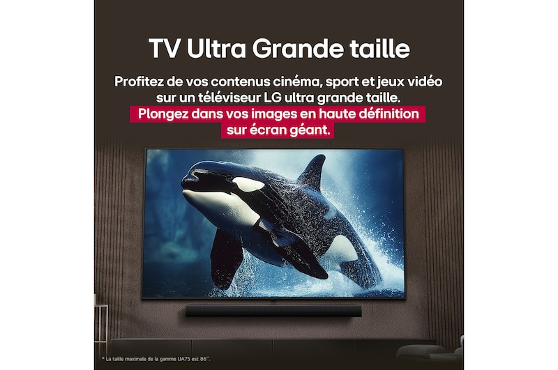 75 pouces (189 cm) | LG UHD AI UA75 | 4K Smart TV | 2025 | 75UA75006LA ...