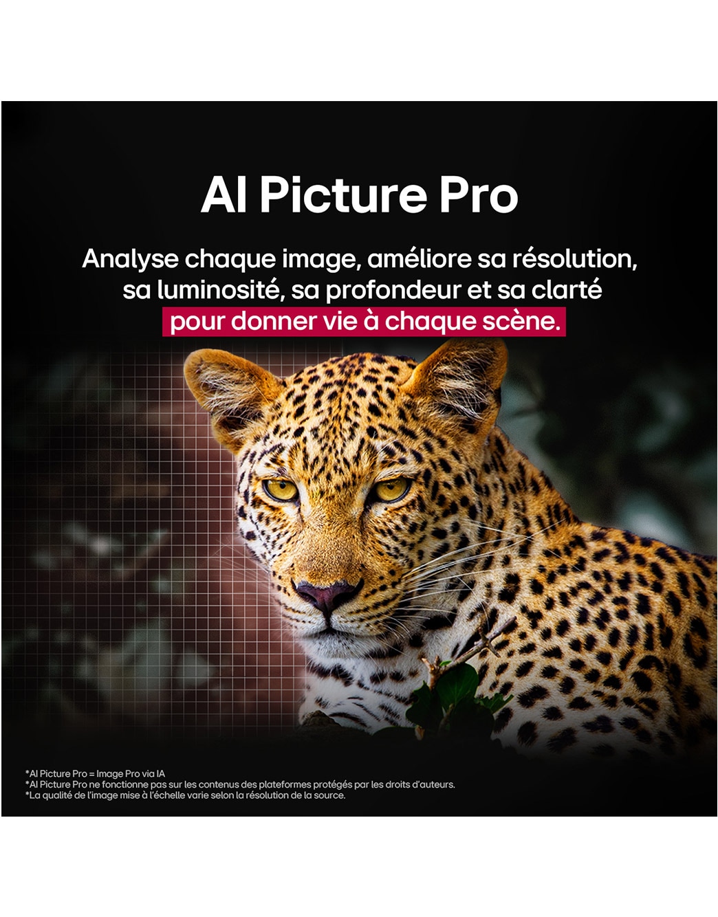 65 pouces (164 cm) | LG OLED evo AI C5 | 4K Smart TV | 2025 | LG OLED65G56LS | LG FR