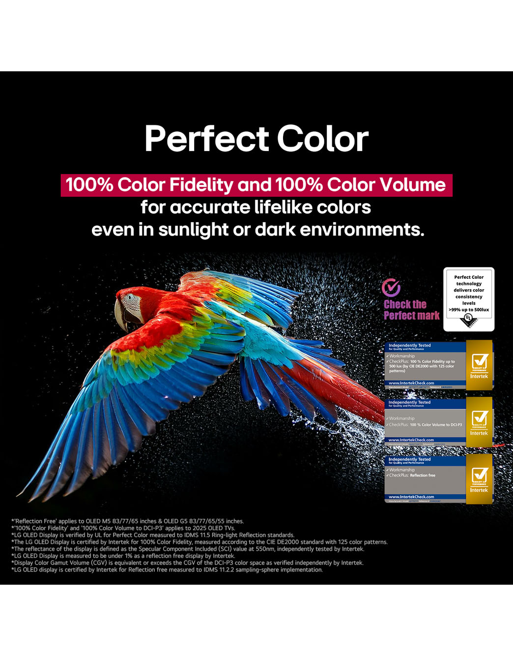 97 吋 LG OLED evo AI G5 4K 智能電視 2025 - OLED97G5PCA | LG 香港