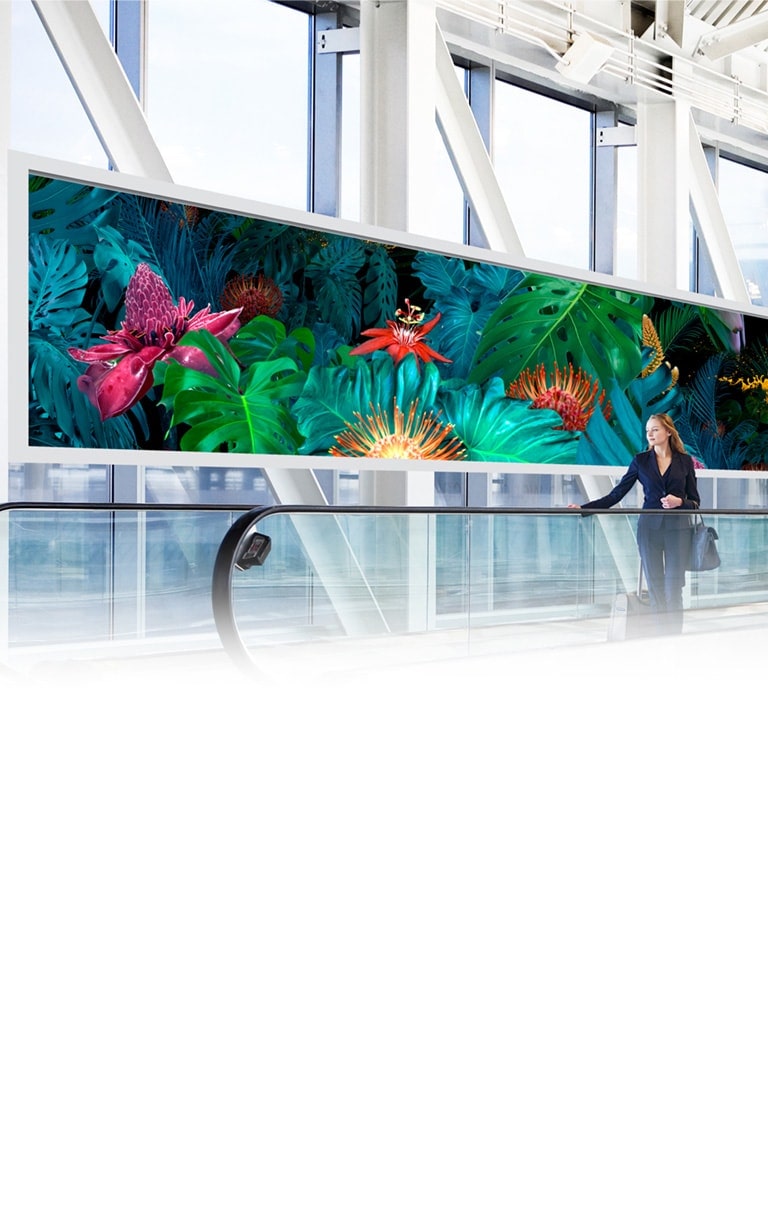 LG Indoor LED Signage Display | LG Hong Kong Business