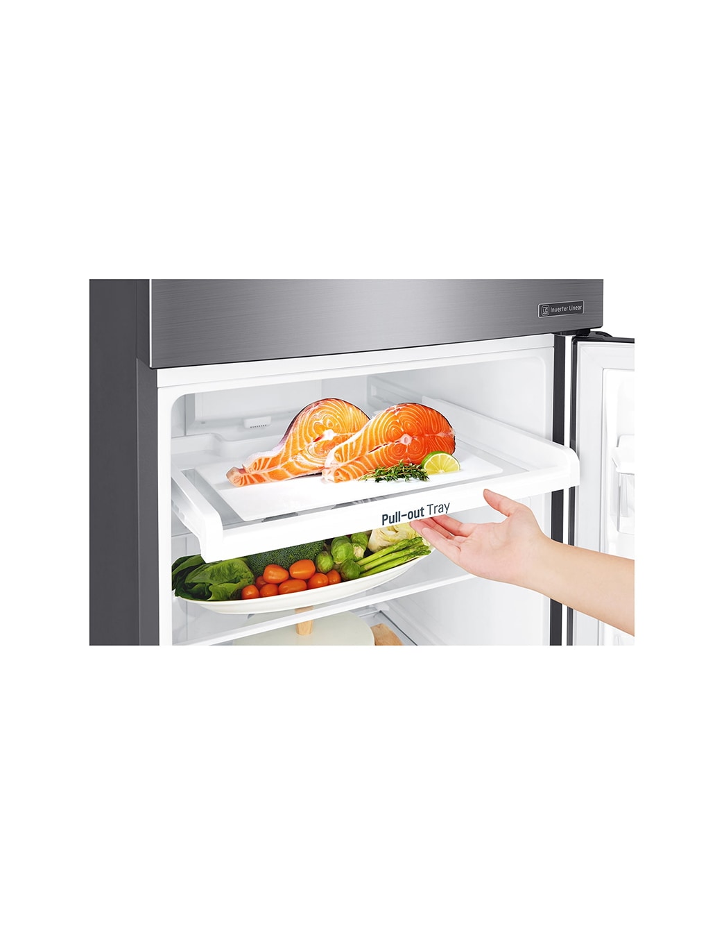 208L Top Freezer Refrigerator - B221S13 | LG HK_EN