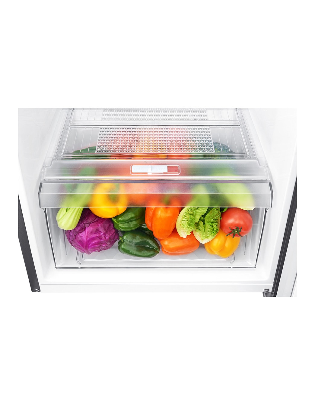 184L Top Freezer Refrigerator - GN-B202SQBB | LG HK_EN
