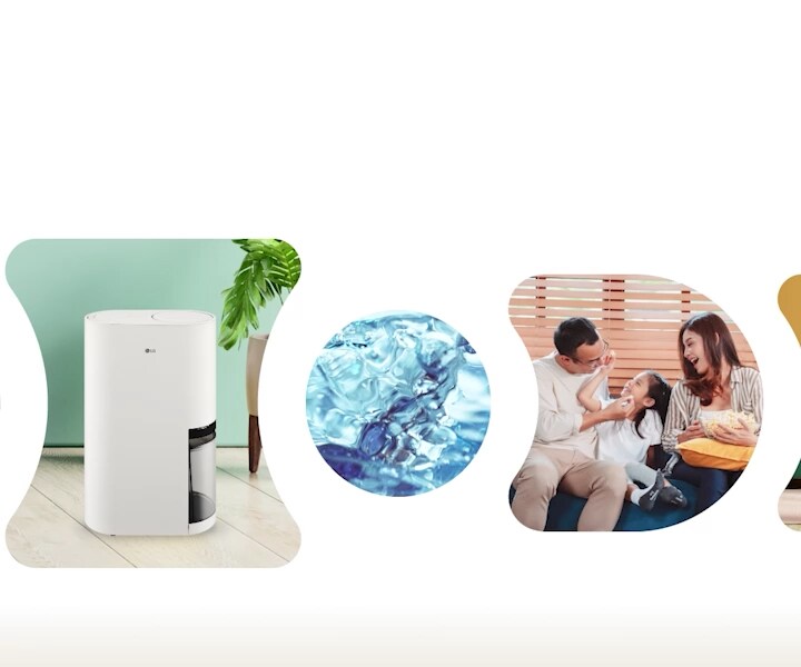 24L PuriCare™ DUAL Inverter Dehumidifier - DD12GMWE0 | LG HK