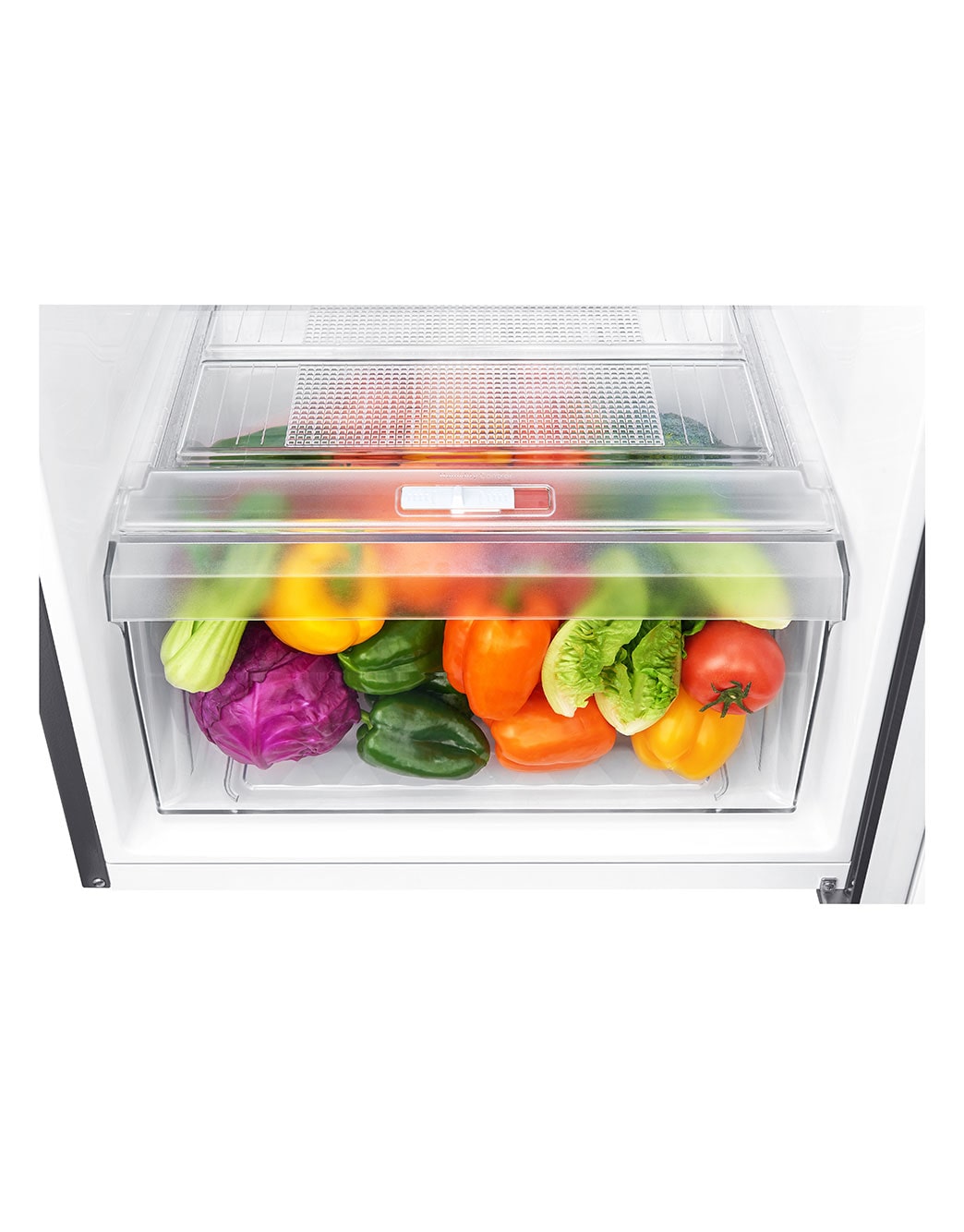 202L / 187L Kulkas 2 Pintu - GN-B202SQIB | LG ID