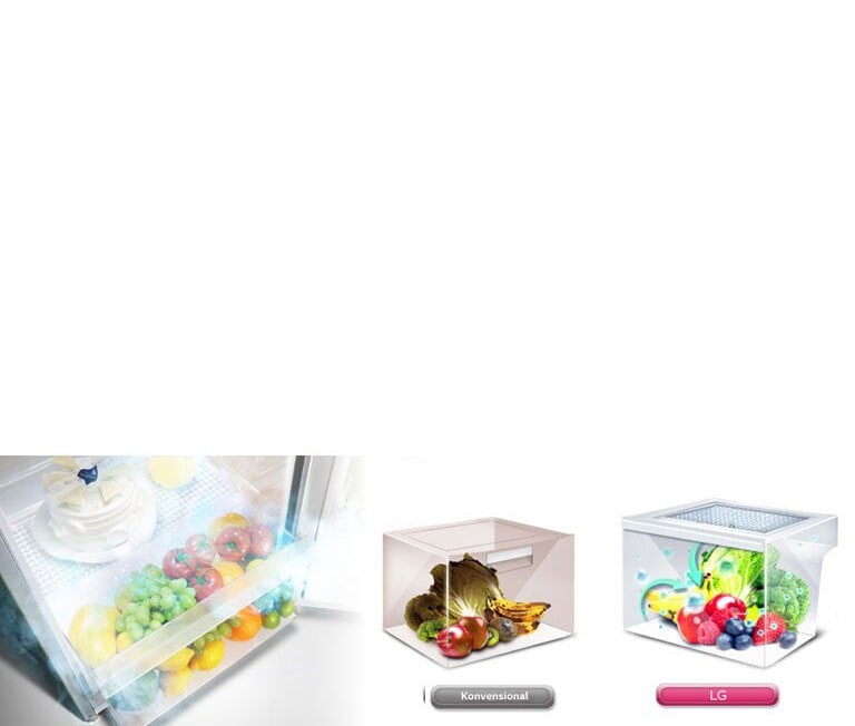 169L / 164L Kulkas 1 Pintu - GN-Y201CLS | LG ID