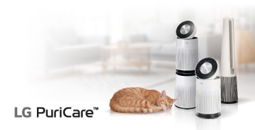 Konsumen dan Elektronik Rumah Tangga dari LG | LG ID