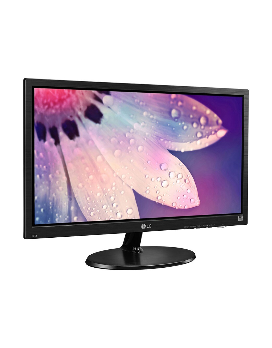 LG 48.26cm (19) FHD LED Office Monitor - 19M38HB-B | LG IN