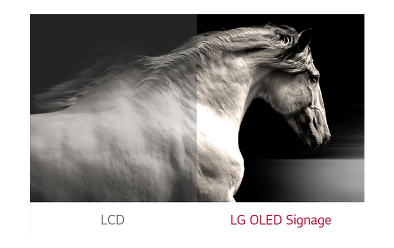 LG 55EJ5K-B EJ5K OLED Signage Series - Business | LG IN