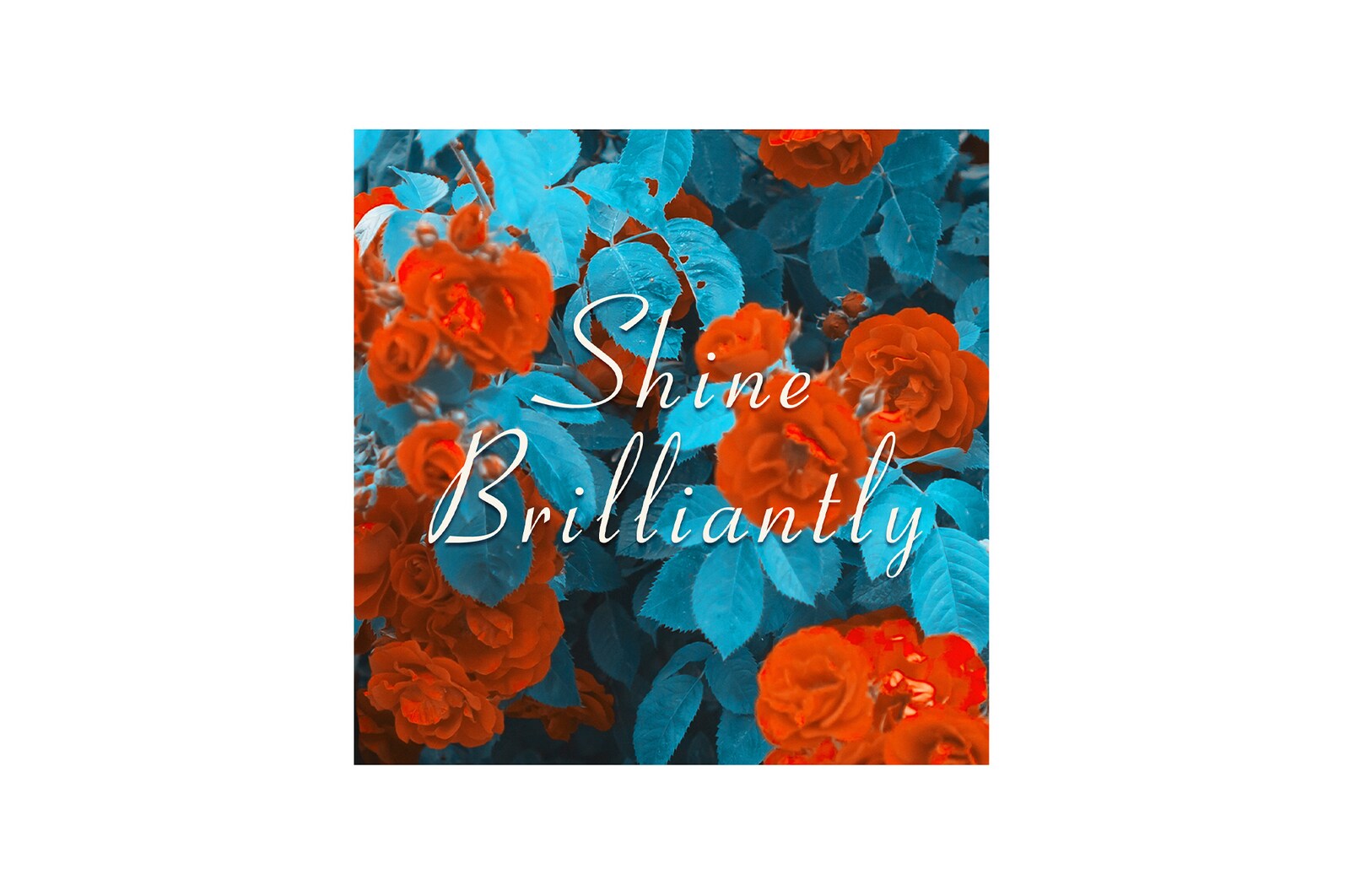 Buy GSPA100 Outdoor LED for Long Distance Visibility | LG IN