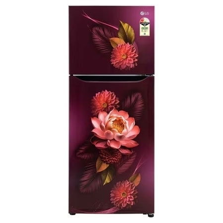 Buy 240 L Double Door Refrigerator - GL-S292SRWY | LG IN