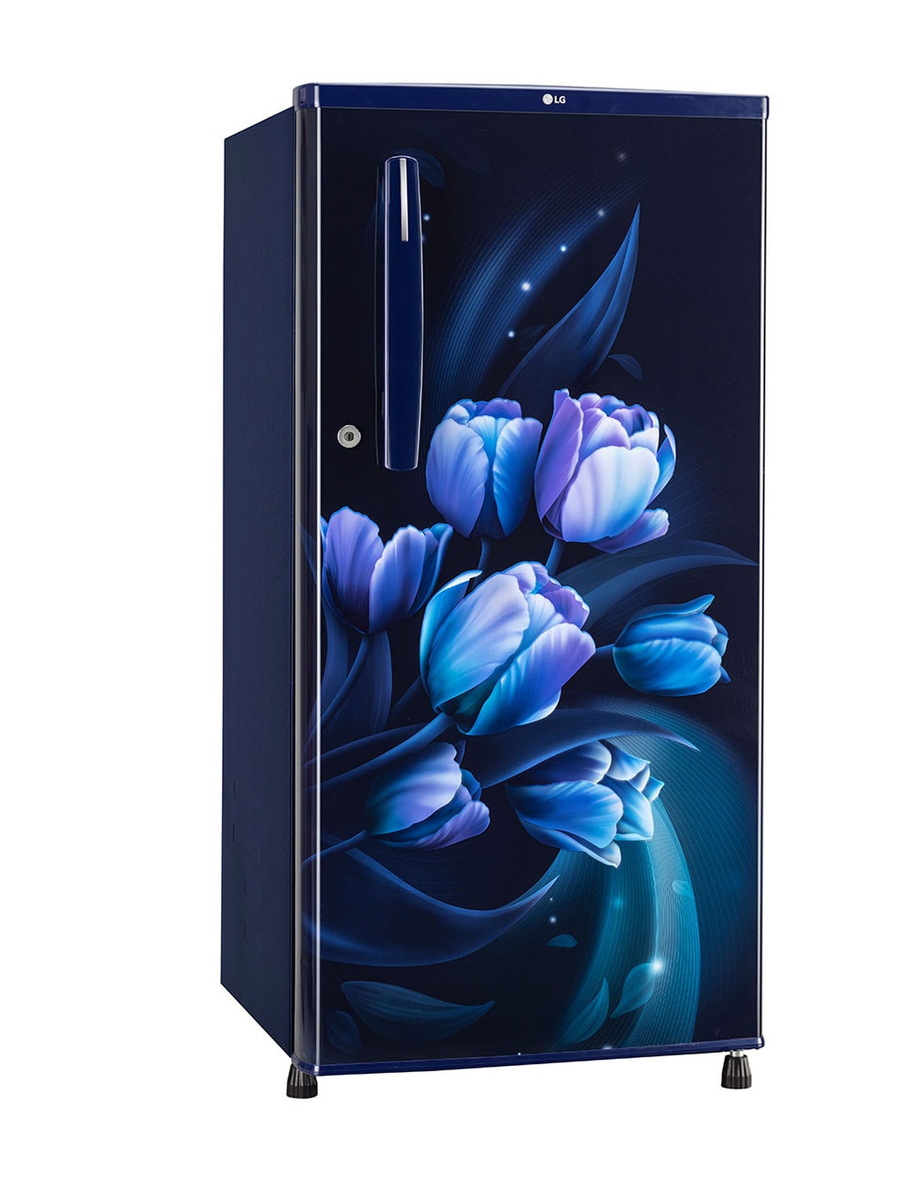 185L Single Door Refrigerator, 1 Star - GL-B199OBTB | LG India