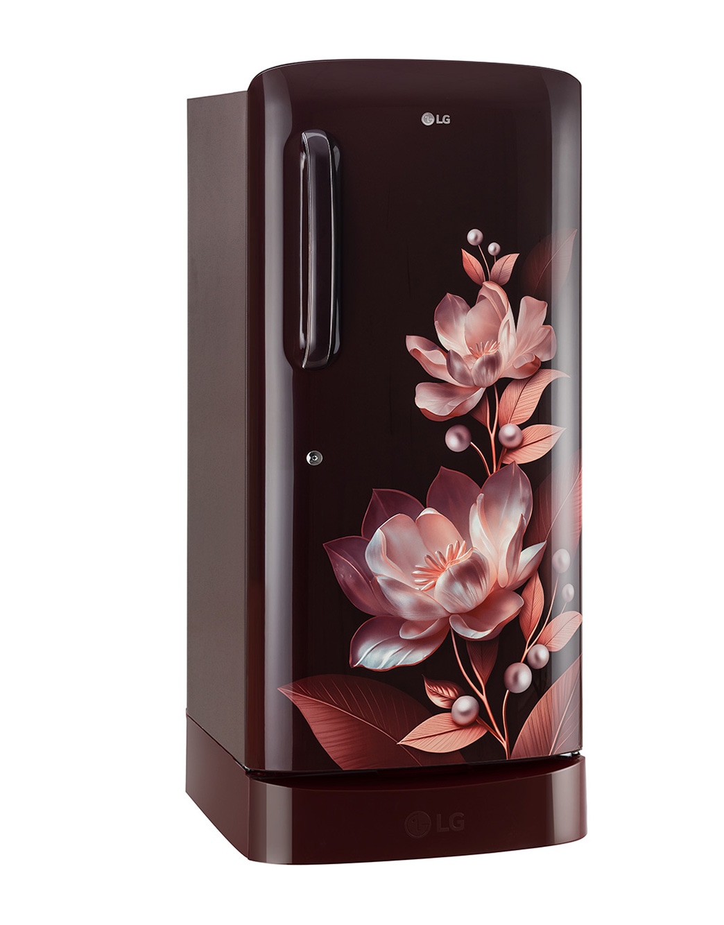 210L 4 Star Single Door Refrigerator - GL-D231ABMY | LG IN