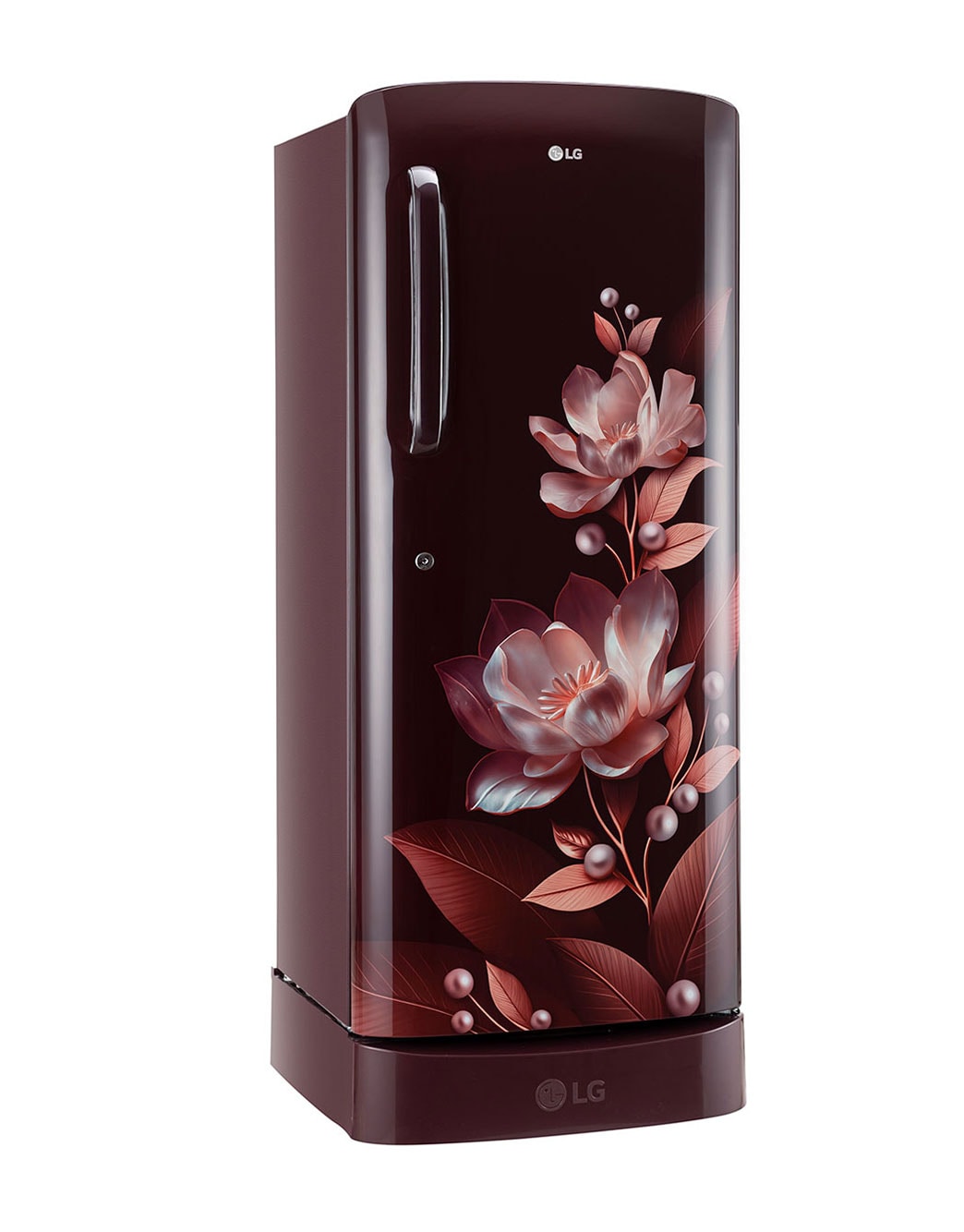Buy 5-Star Single-Door Refrigerator - GL-D241ASMU | LG IN