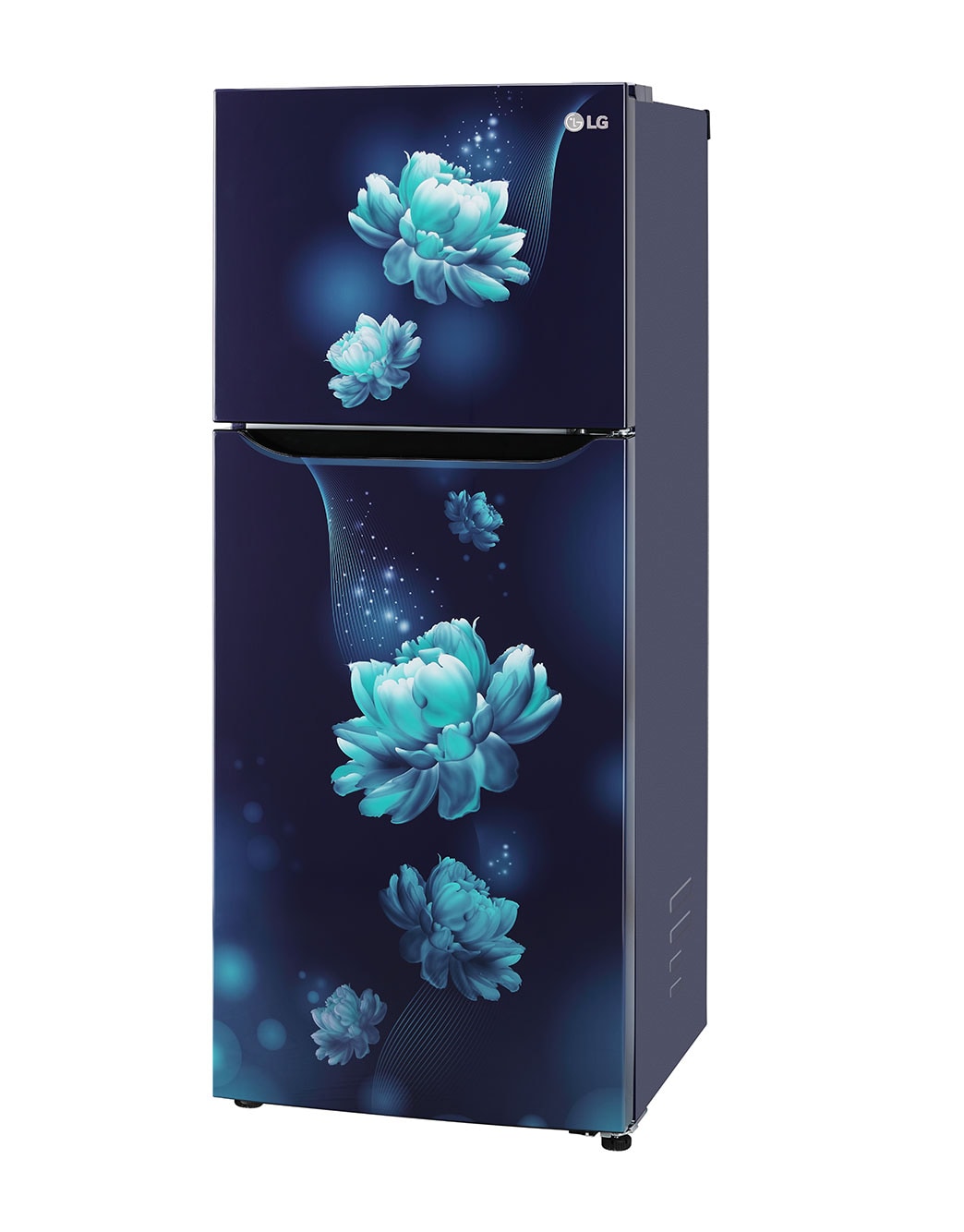 Buy 242L Double Door Refrigerator - GL-N292BBCY | LG IN
