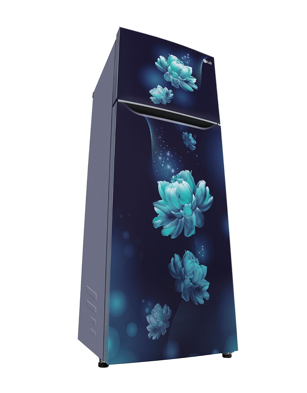 Buy 242L Double Door Refrigerator - GL-N292BBCY | LG IN