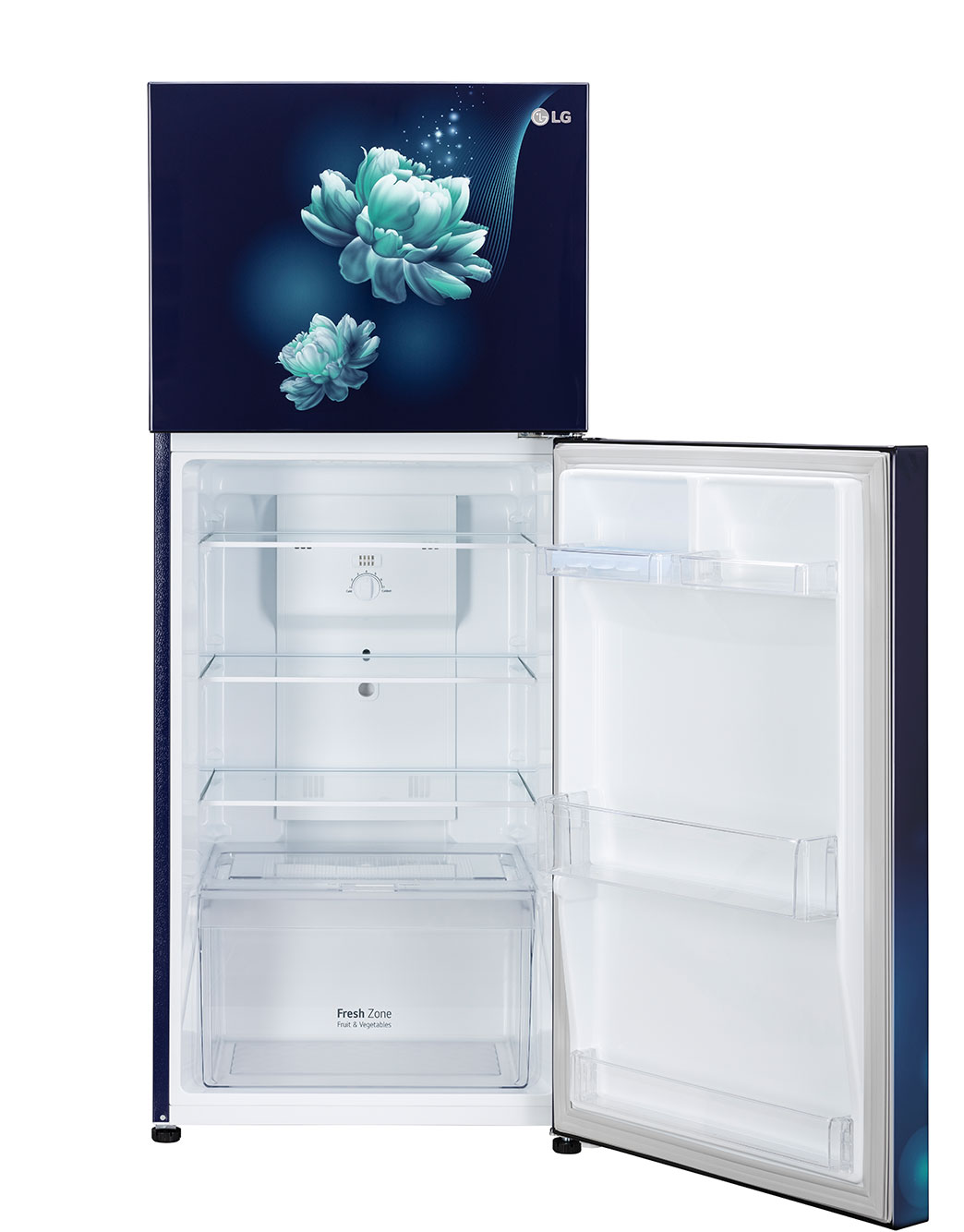 Buy 242L Double Door Refrigerator - GL-N292BBCY | LG IN