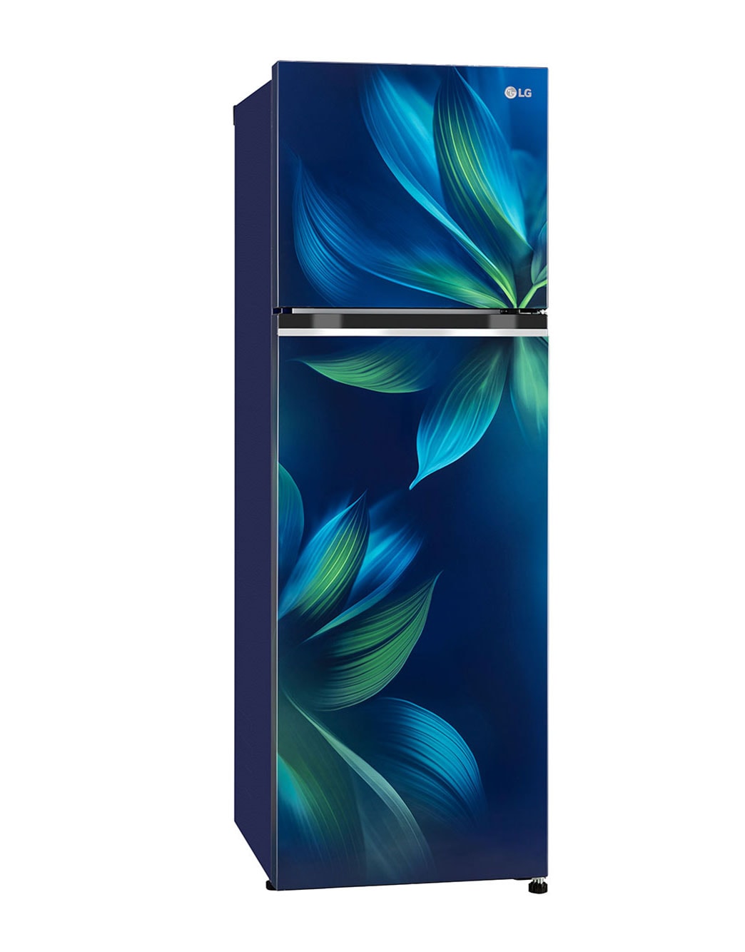 246L 3 Star Double Door Refrigerator - GL-S262SBAX | LG India