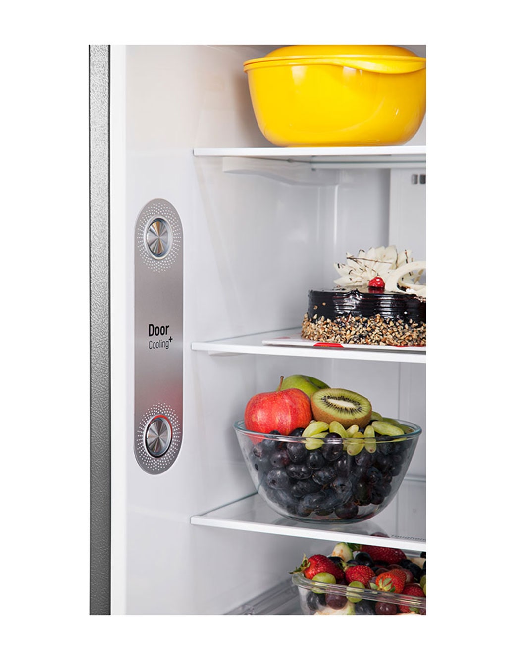240L 2 Door Refrigerator, Shiny Steel - GL-T292RPZY | LG IN