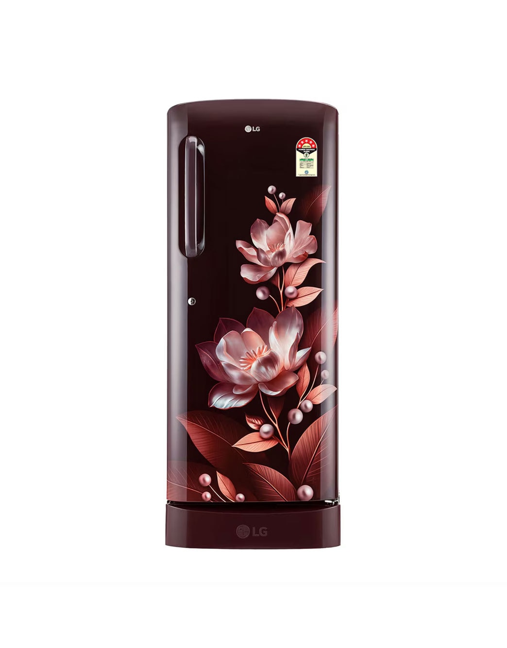 Buy 5-Star Single-Door Refrigerator - GL-D241ASMU | LG India