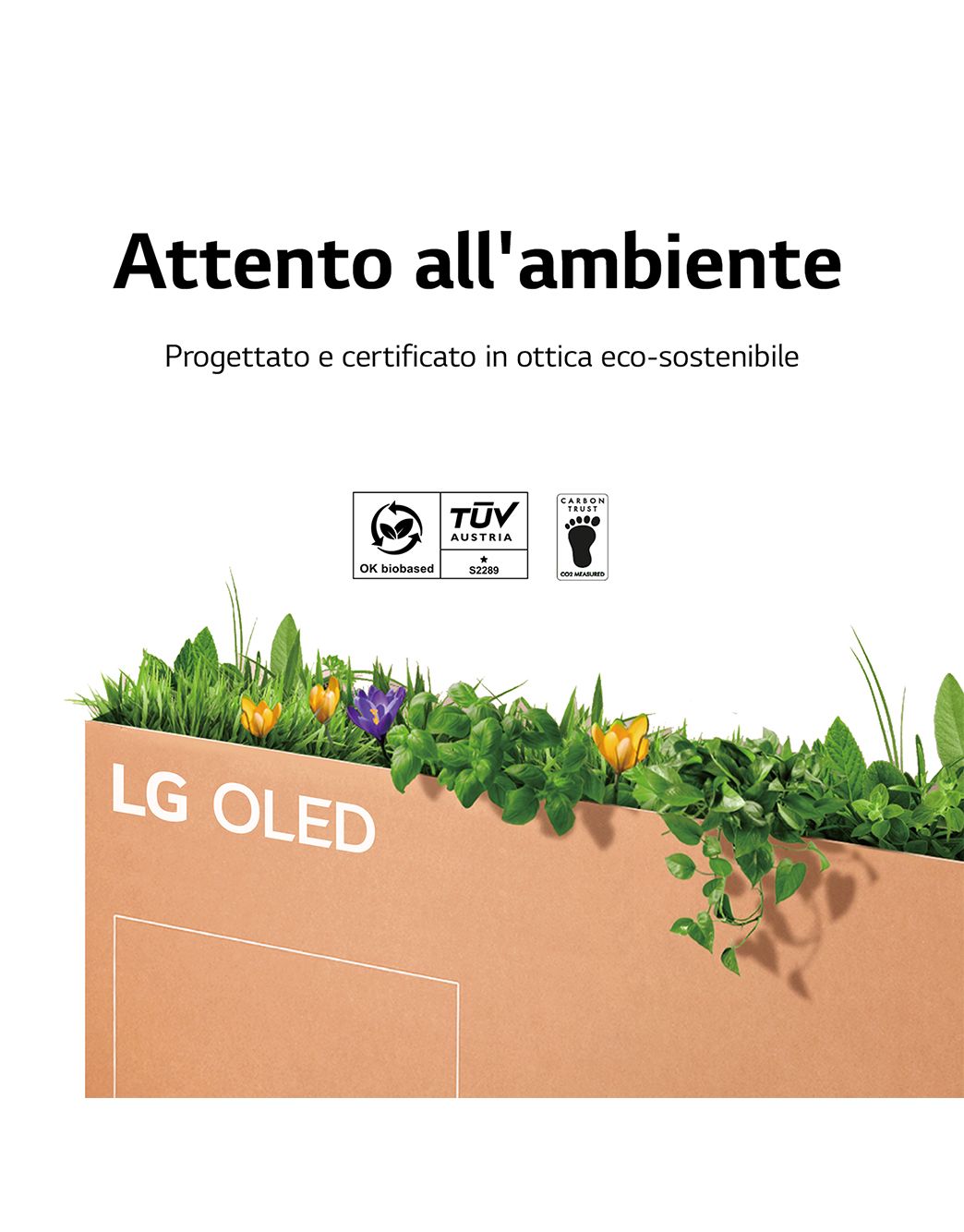 Televisore OLED evo da 48 pollici LG | OLED48C24LA | LG IT