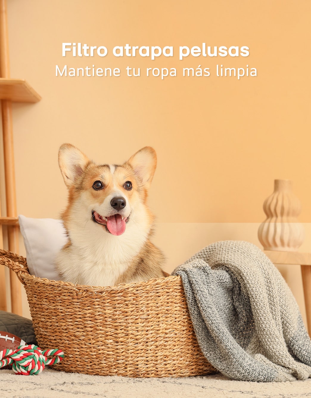 Lavadora LG Carga Superior Inverter AI DD™ 21 kg | LG MX